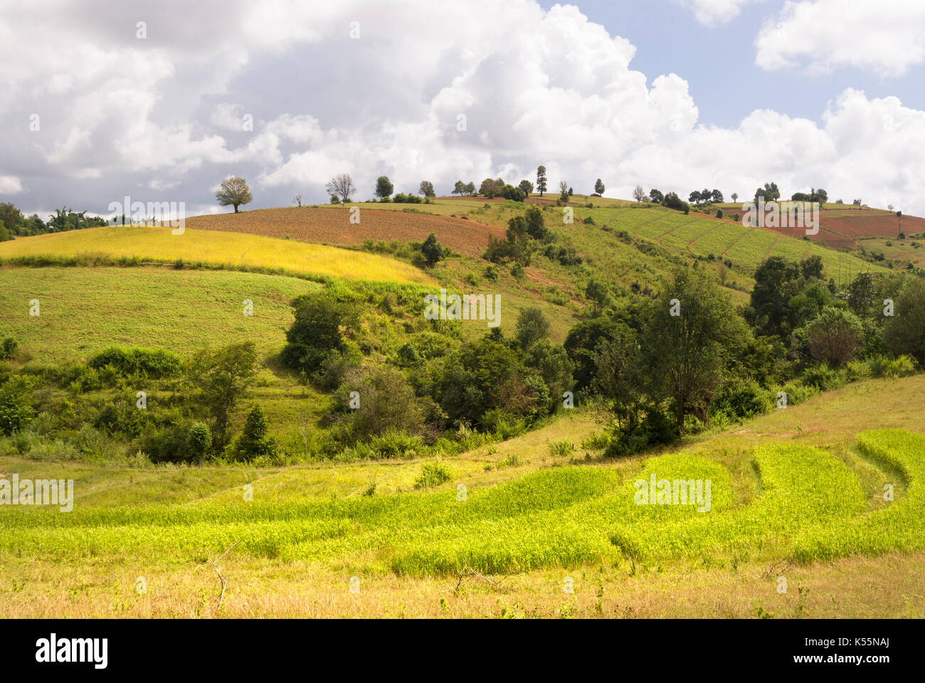 Landscape of farmland, Shan State, Burma, Myanmar, South East Asia ...