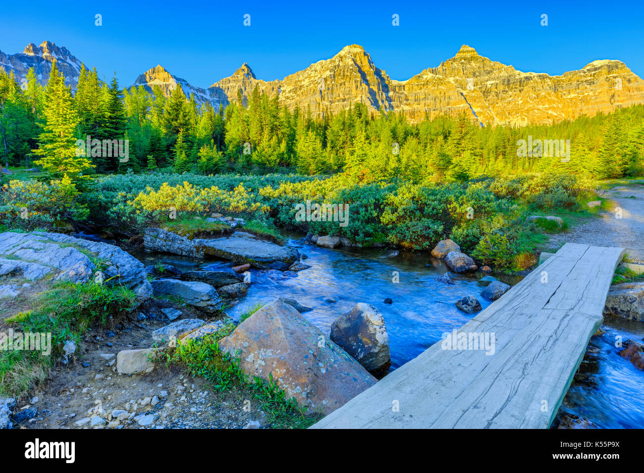 Larch Valley Trail in Banff National Park Stock Photo - Alamy