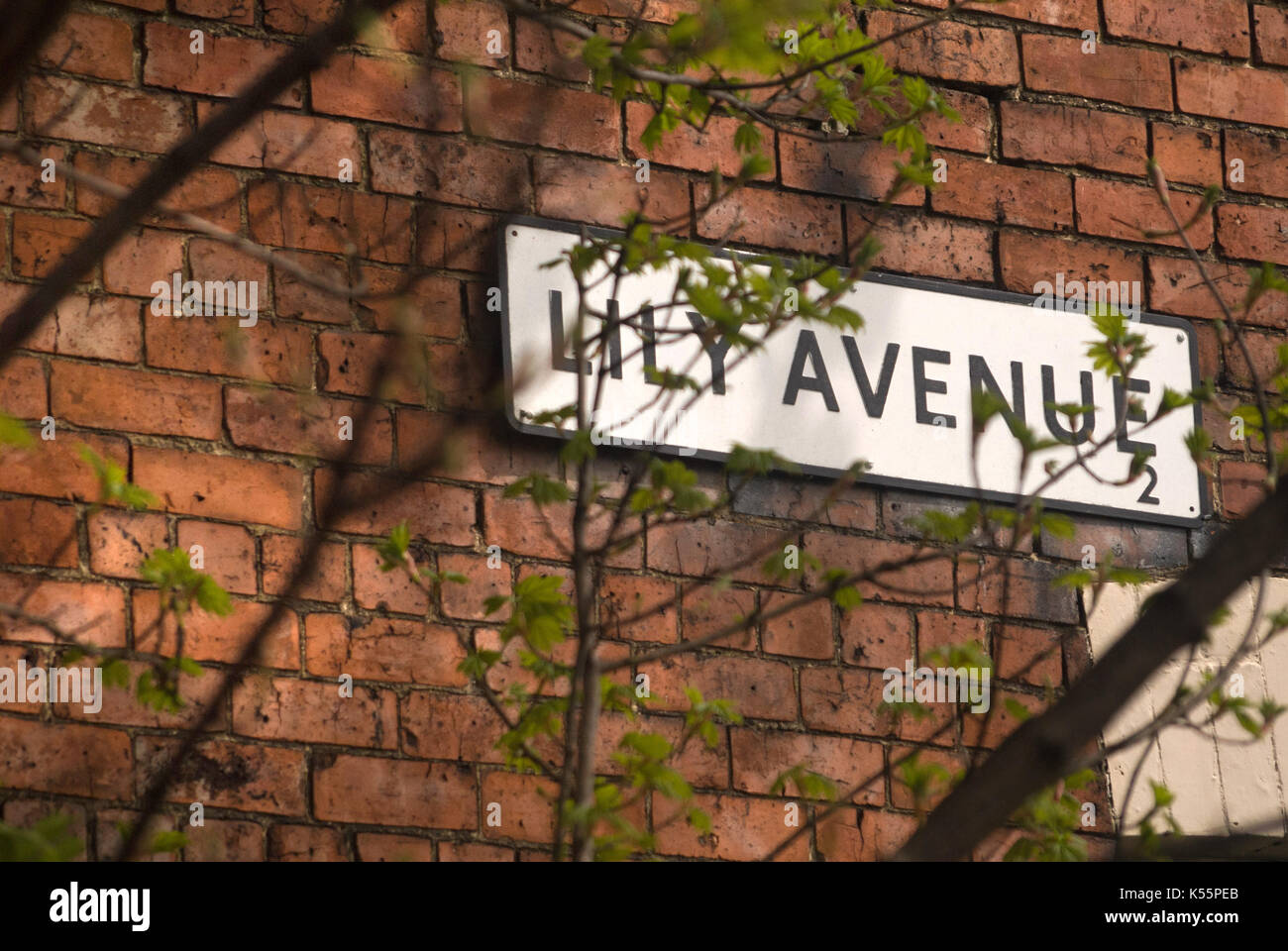 Lily Avenue street sign, Jesmond, Tyne and Wear Stock Photo - Alamy