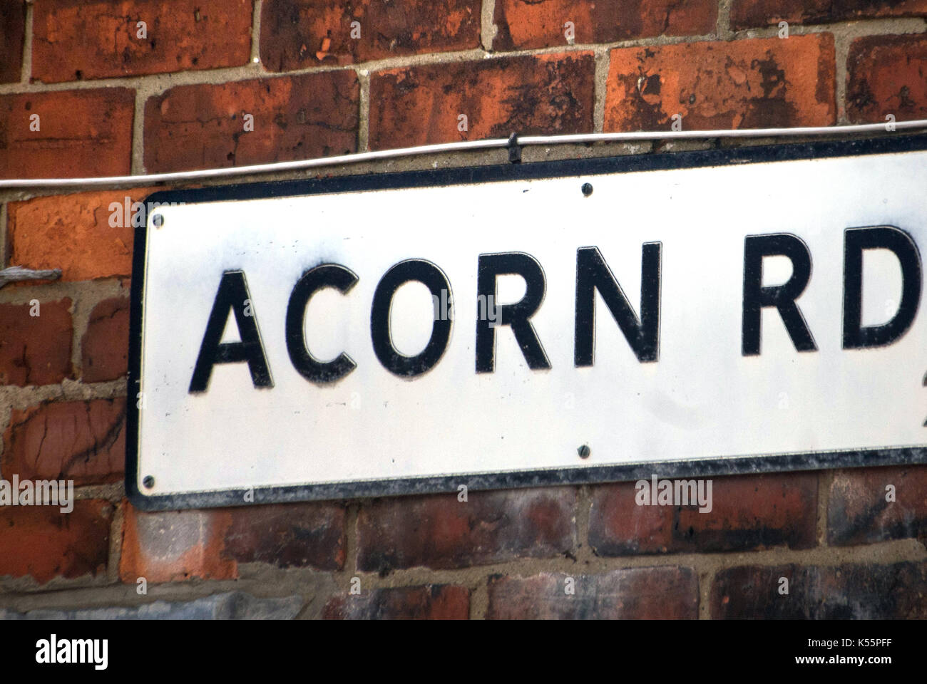 Acorn road hi-res stock photography and images - Alamy