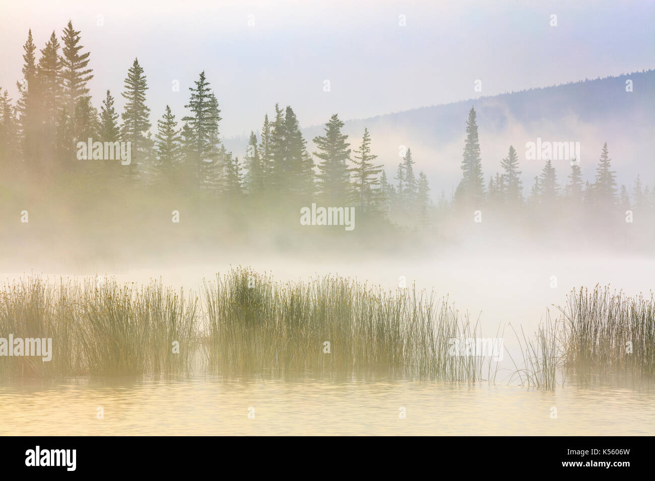 Vermilion Lakes in Banff National Park, Alberta Canada Stock Photo - Alamy