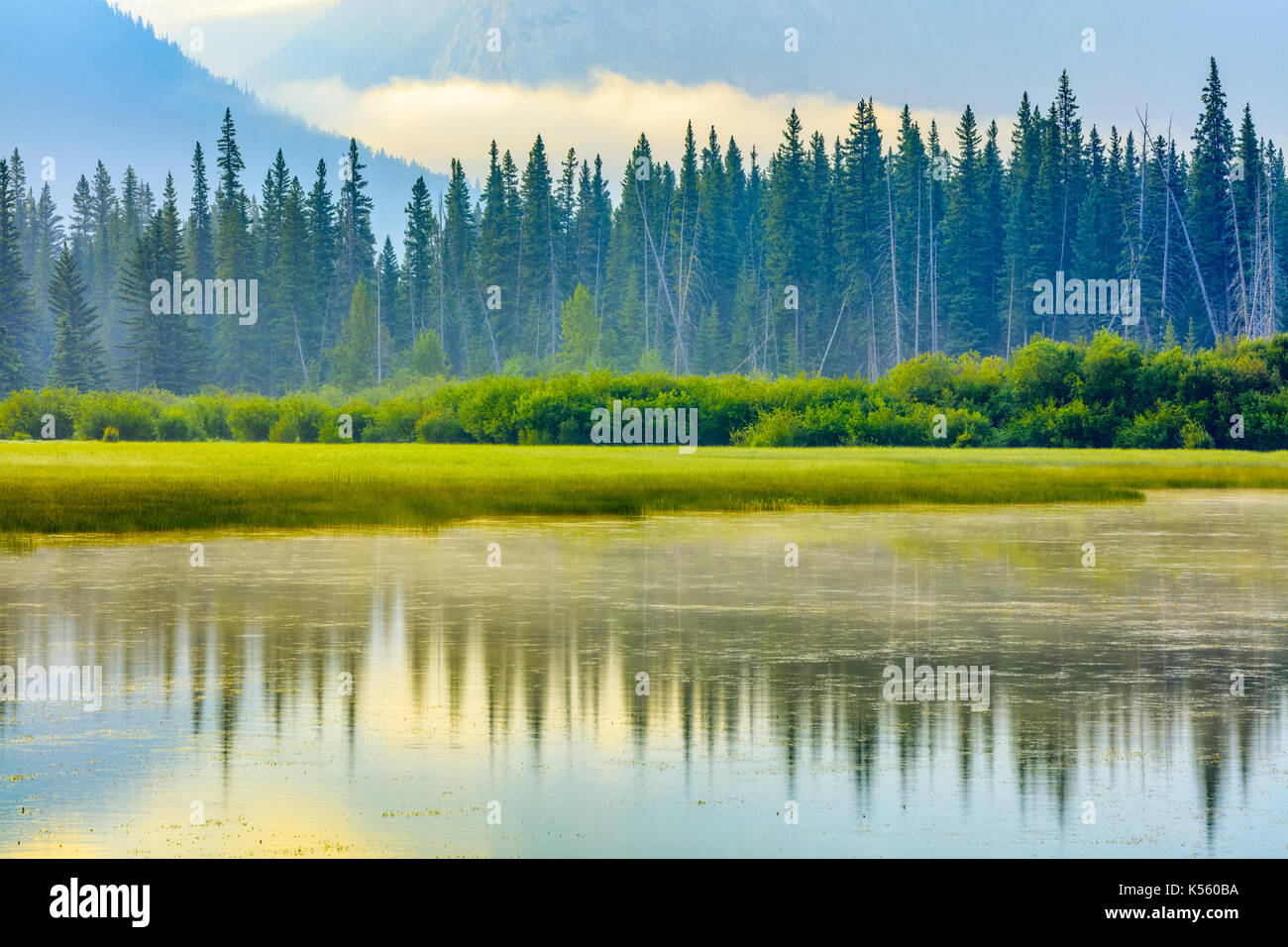 Vermilion Lakes in Banff National Park, Alberta Canada Stock Photo - Alamy