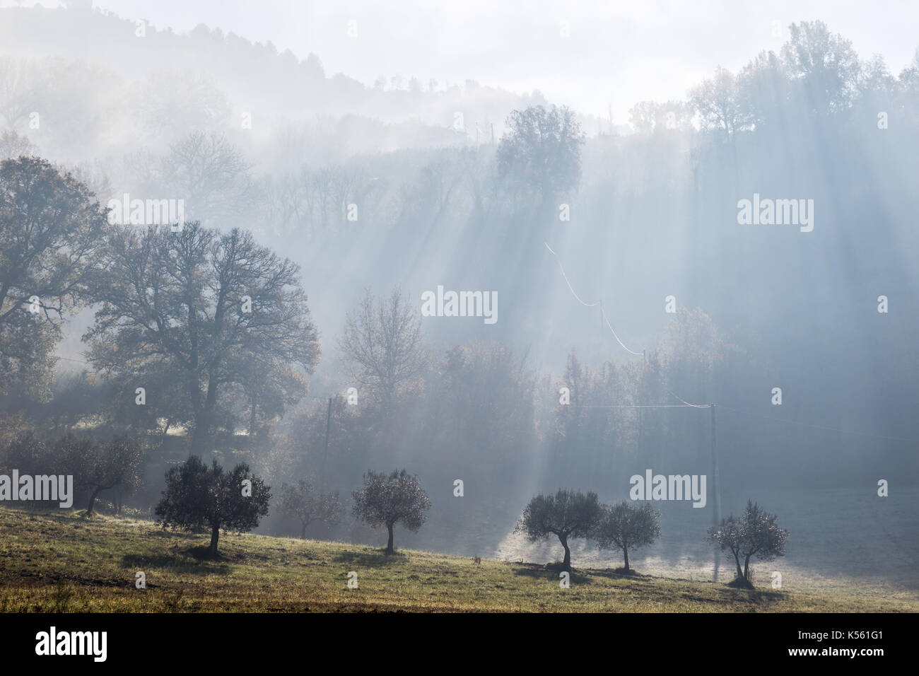 Powerful sun rays cutting through the fog and projecting shadows of ...
