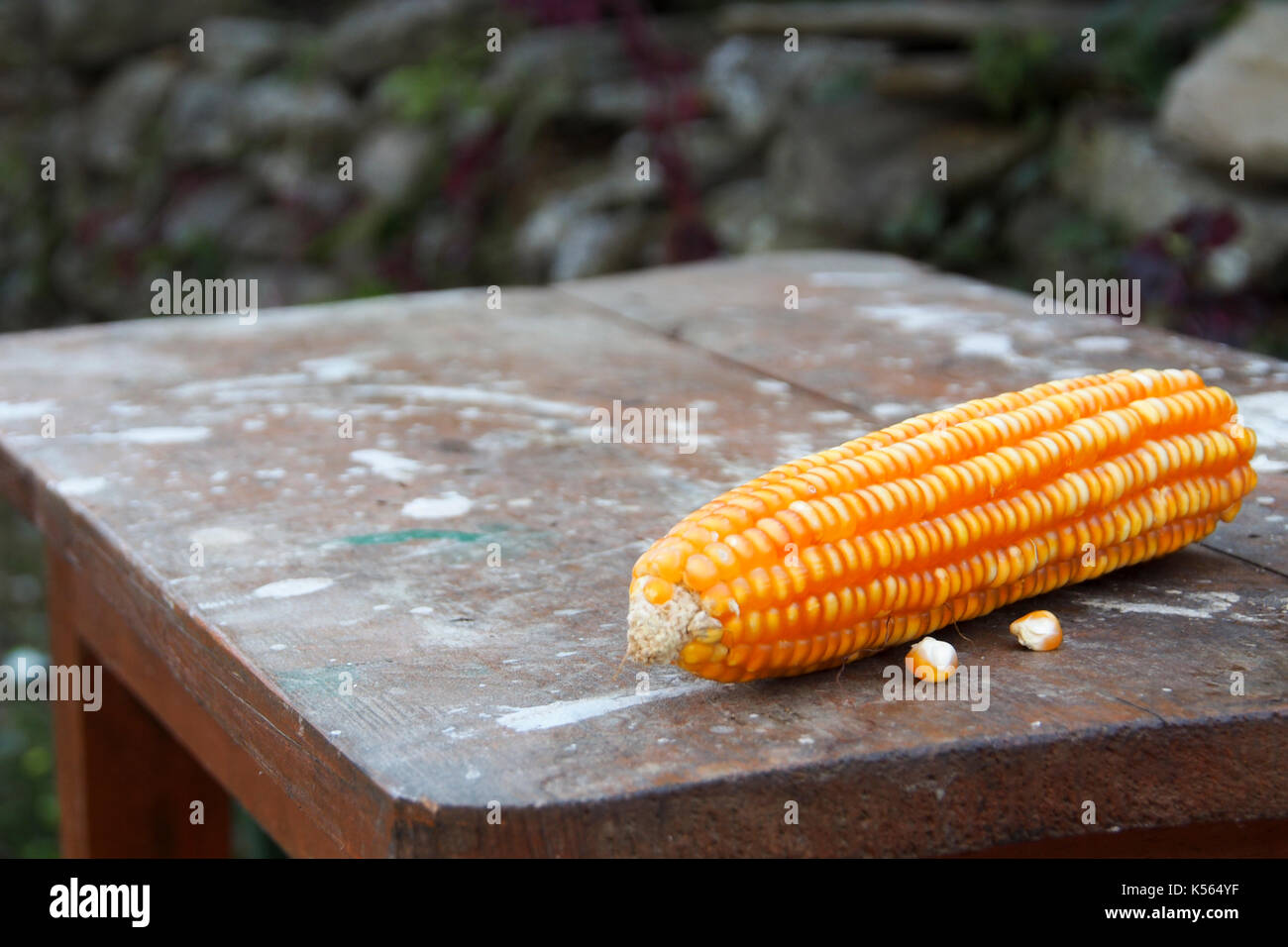 corn cob on wooden table Stock Photo - Alamy