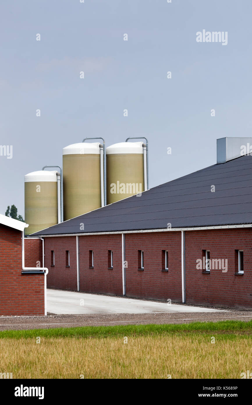 Farm animals chicken pig hi-res stock photography and images - Alamy