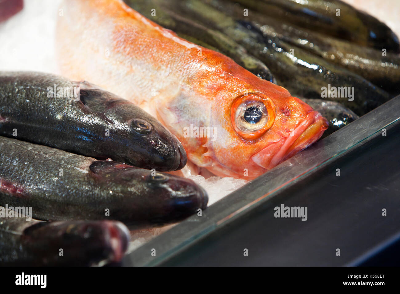 Healthy looking seafood red hi-res stock photography and images - Alamy
