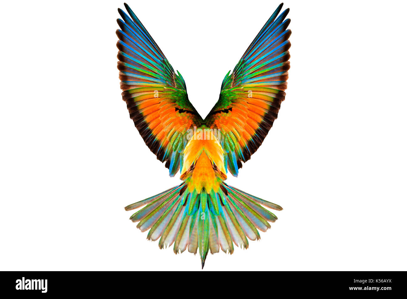 colored wings on a white background , art, drawing, graphics Stock ...