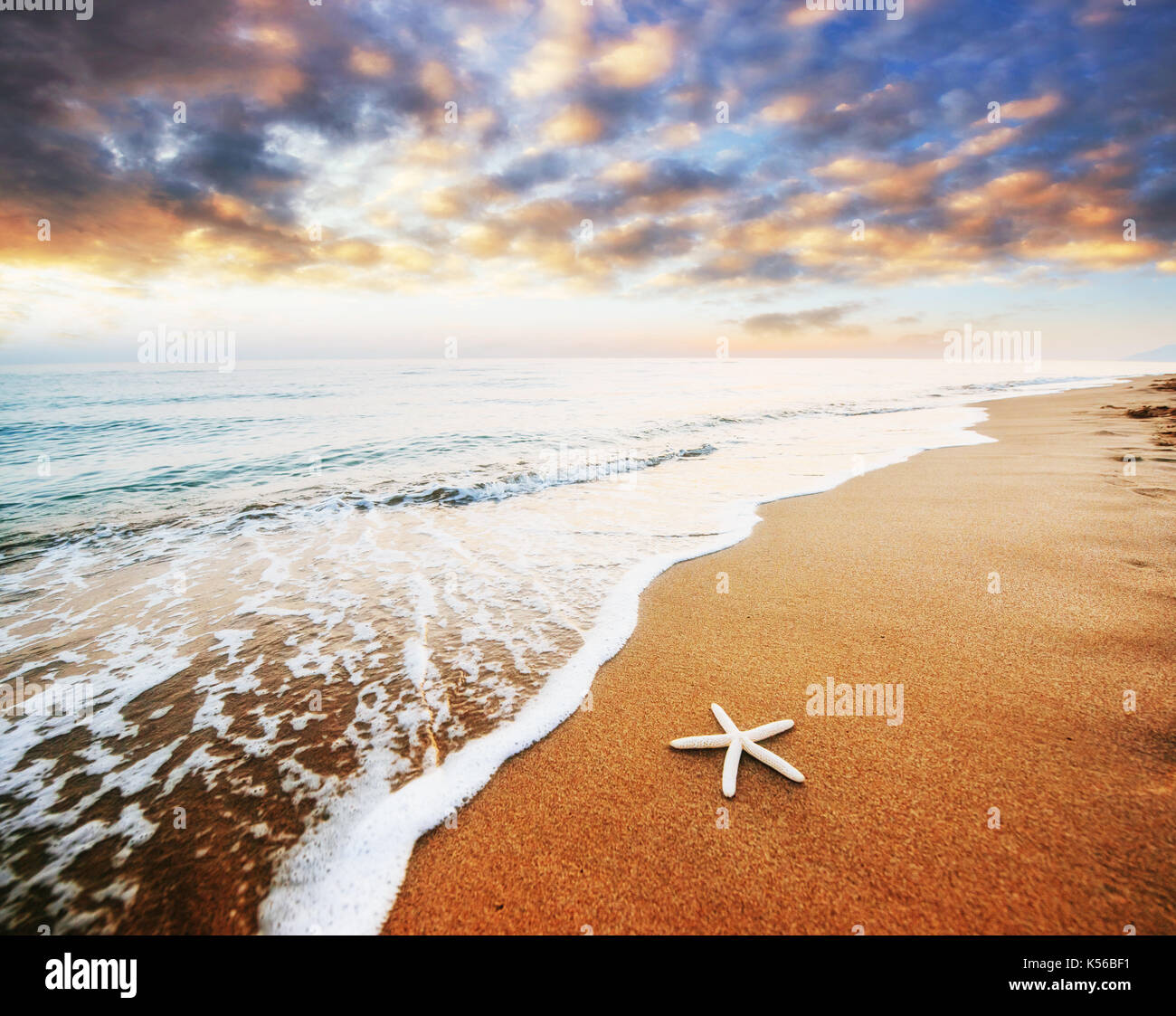 Star fish resort hi-res stock photography and images - Alamy