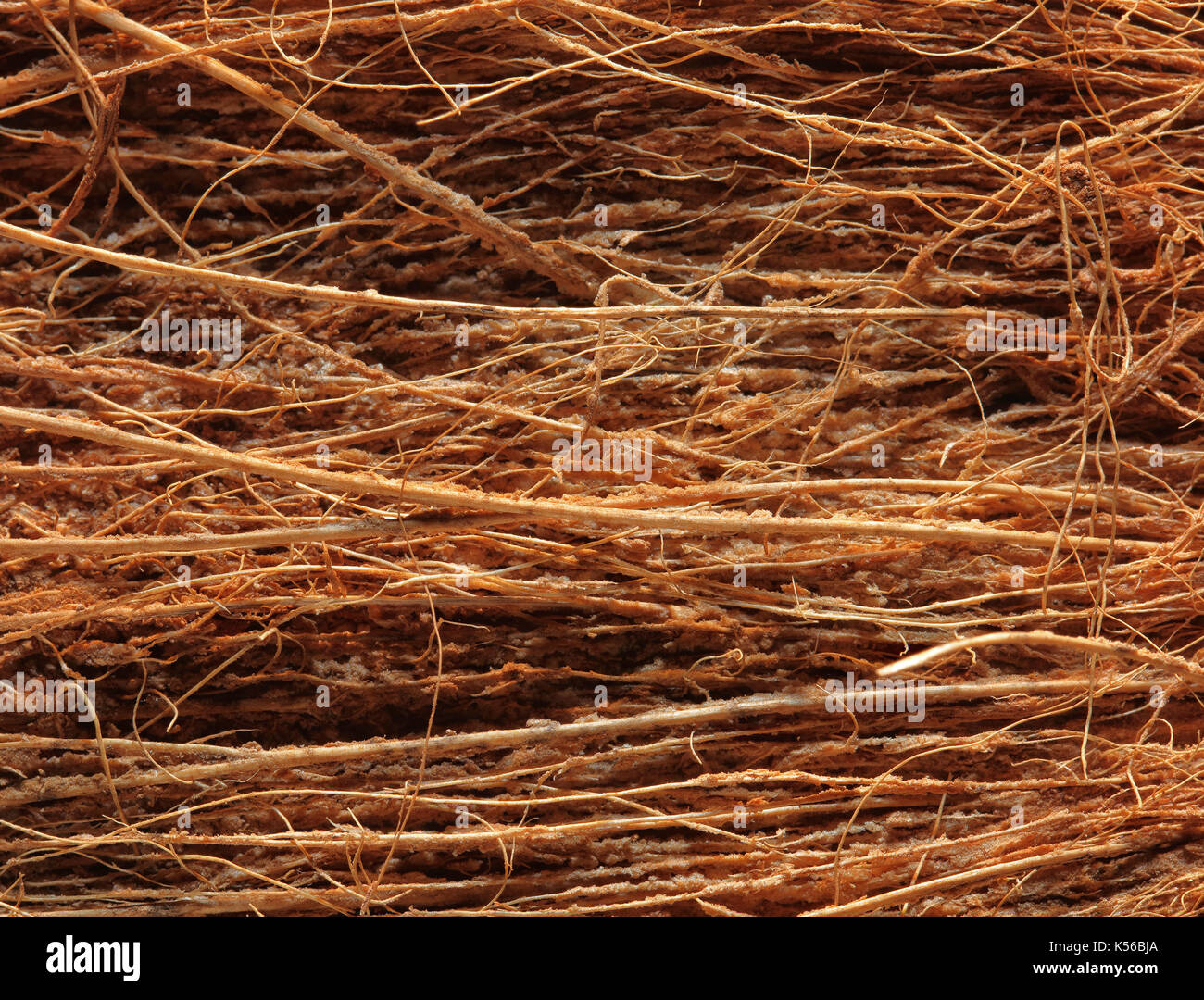 Coconut fiber hi-res stock photography and images - Alamy