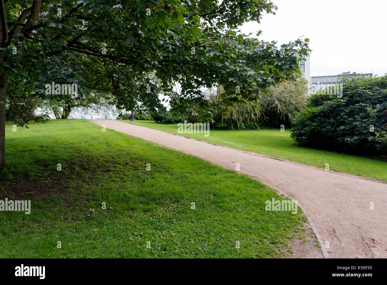 Sand track among grass and trees Stock Photo - Alamy