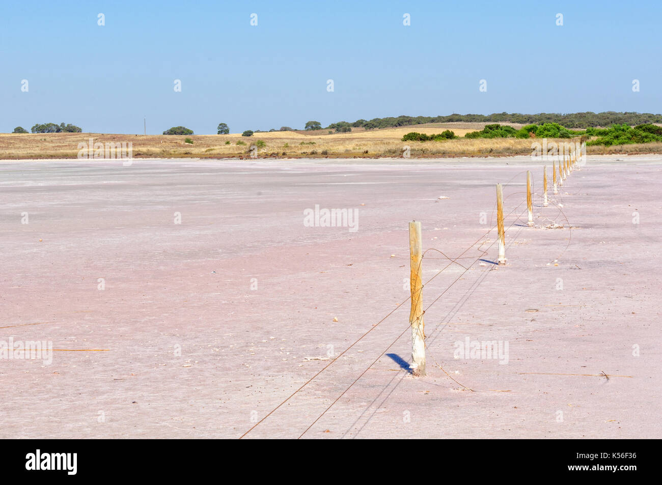 The pink colour of this lake near Meningie is due to some algae - SA ...