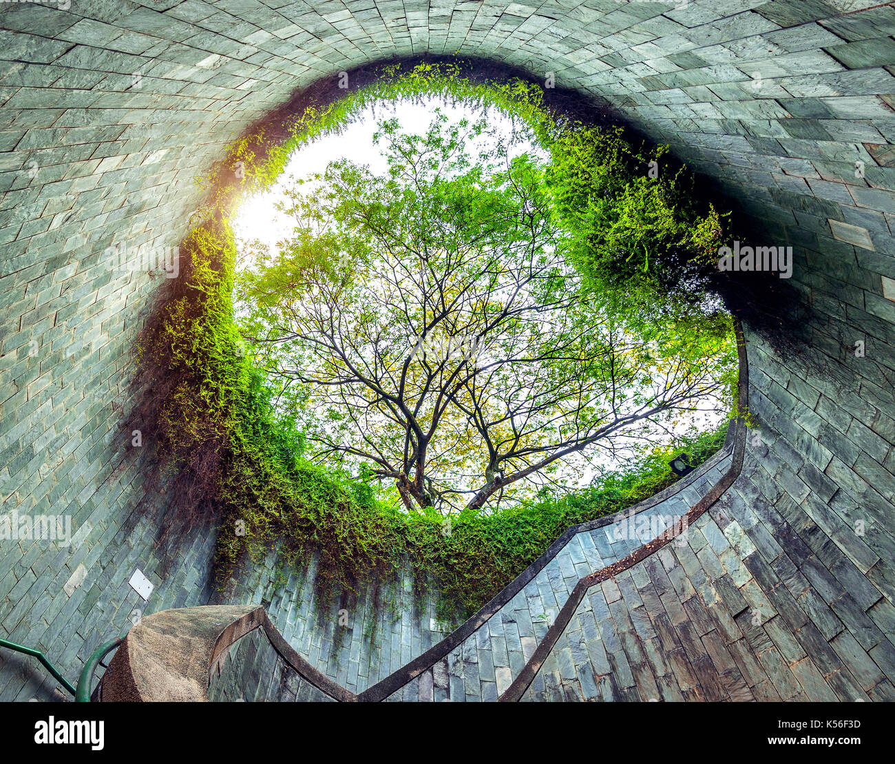 Fort Canning Park, Singapore Stock Photo - Alamy