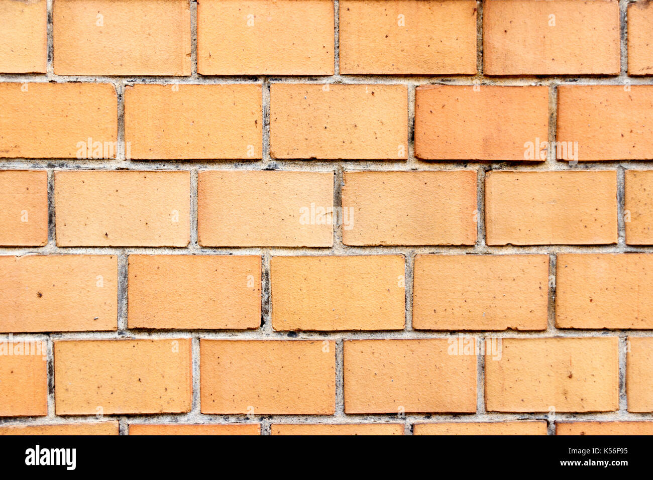 Colorful bricks wall hi-res stock photography and images - Alamy