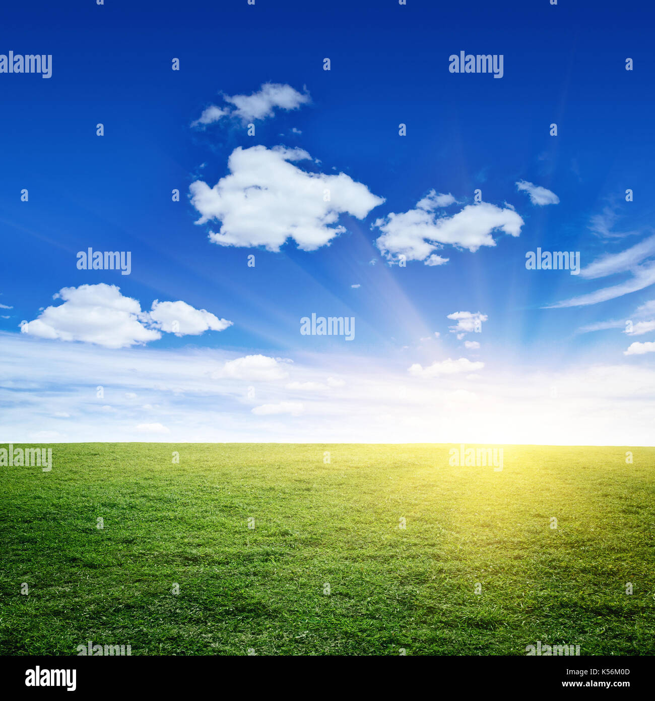 Morning background nature Stock Photo - Alamy