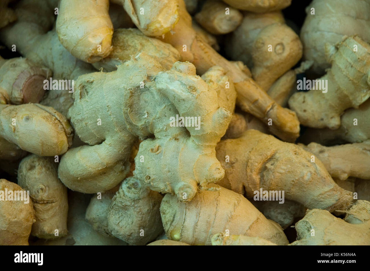 Ginger roots hi-res stock photography and images - Alamy