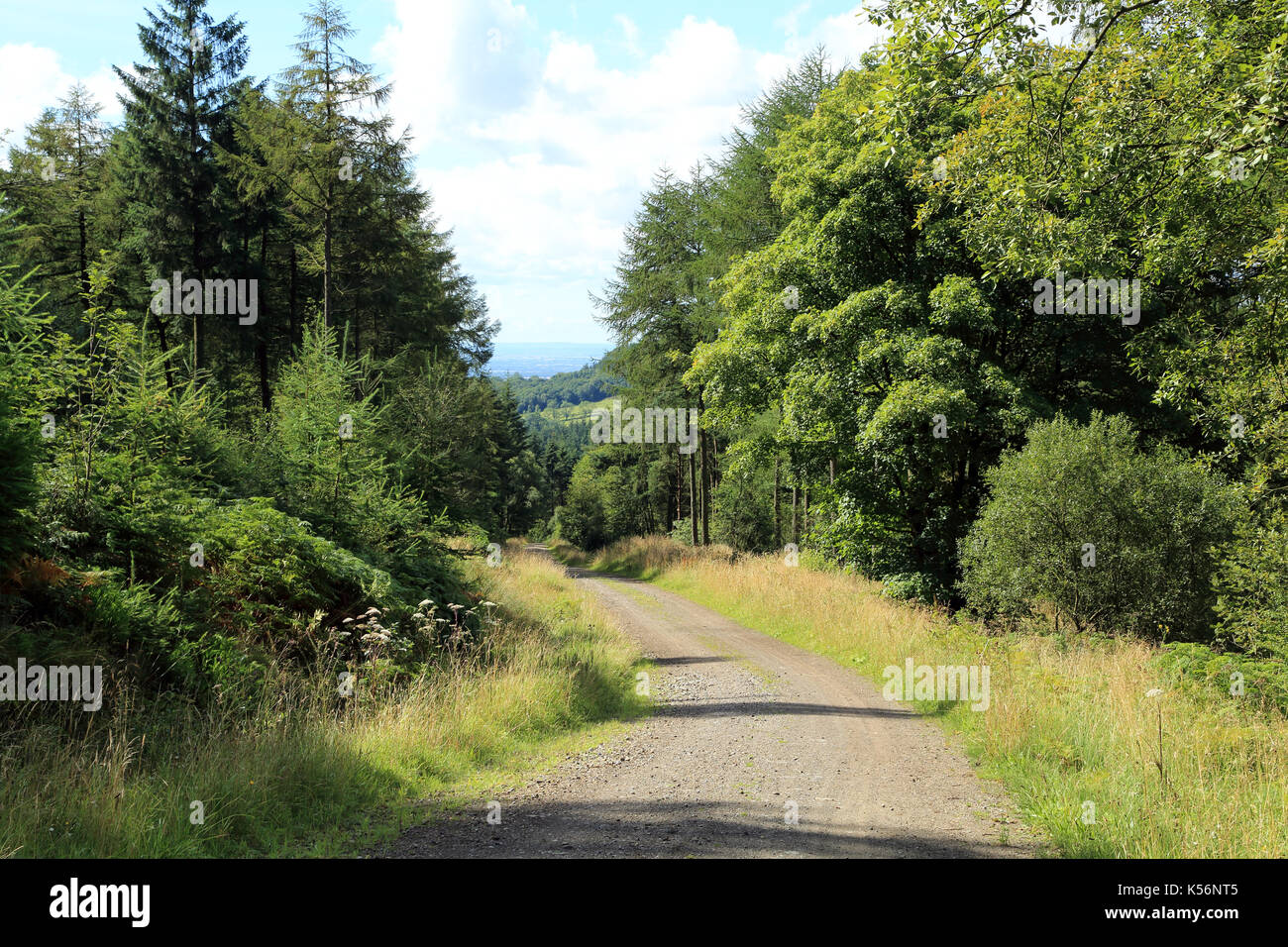 Nether silton north yorkshire hi-res stock photography and images - Alamy