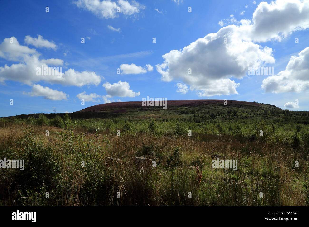 Nether hill hi-res stock photography and images - Alamy