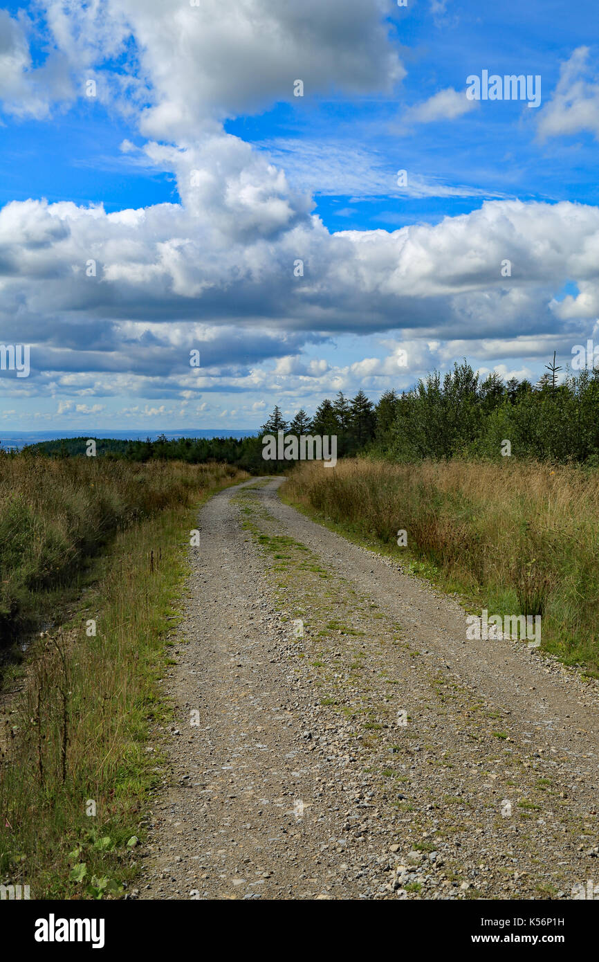 Forestry track on North Yorkshire Moors above Over and Nether Silton ...