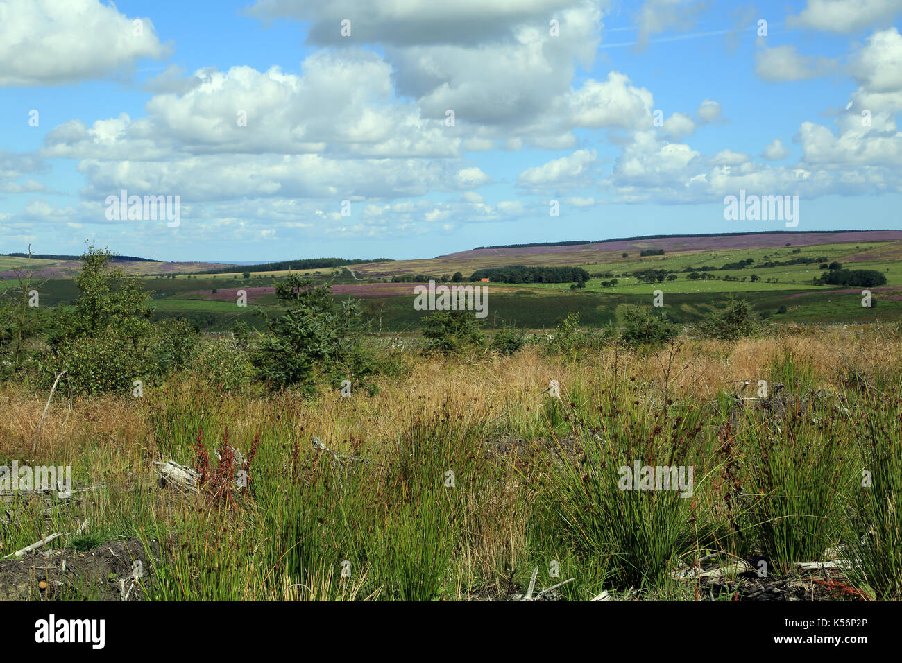 North Yorkshire Moors above Over and Nether Silton, North Yorkshire ...