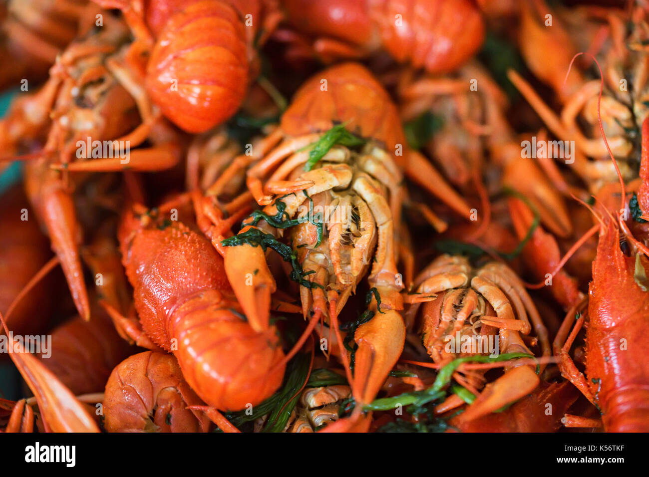 Crayfish cooked with dill hi-res stock photography and images - Alamy