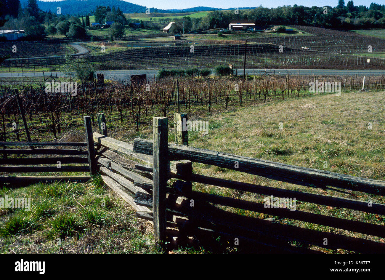 Anderson county vineyards hi-res stock photography and images - Alamy