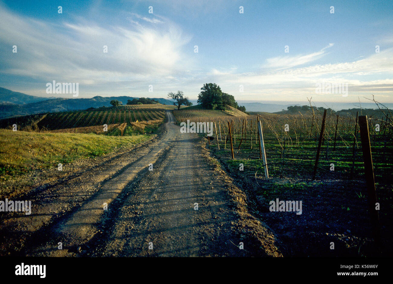 Kendall jackson hi-res stock photography and images - Alamy