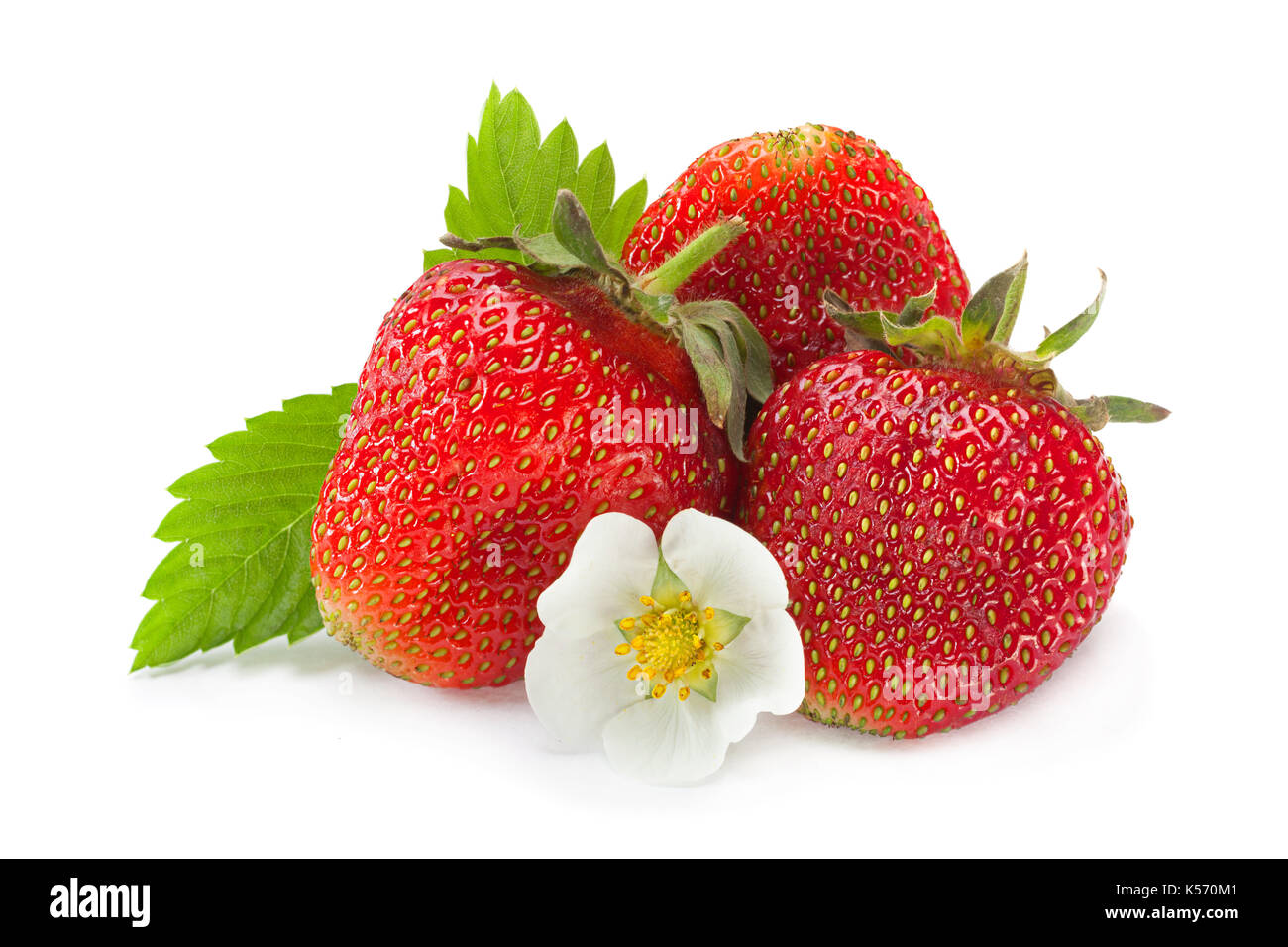 Strawberry fruit closeup isolated in white background Stock Photo - Alamy