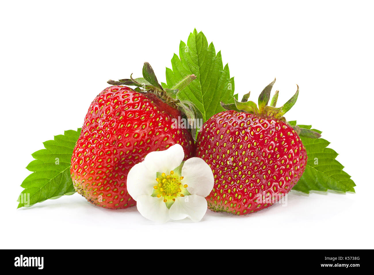 Strawberry fruit closeup isolated in white background Stock Photo - Alamy