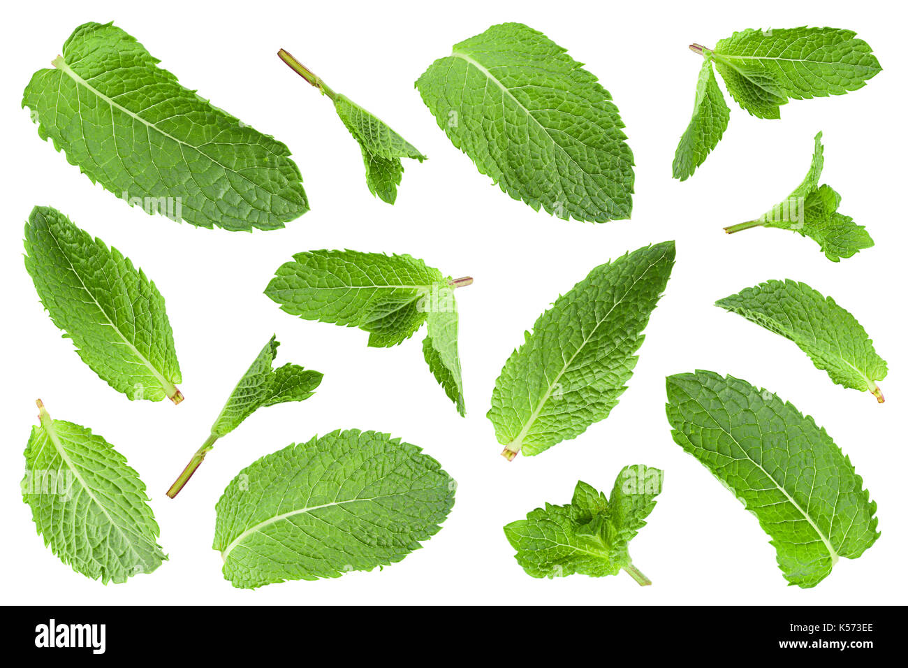 Mint leaf herb closeup set isolated on white backgroubnd Stock Photo ...
