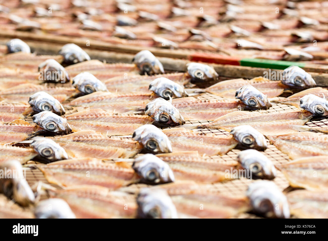 Carapau fish hi-res stock photography and images - Alamy