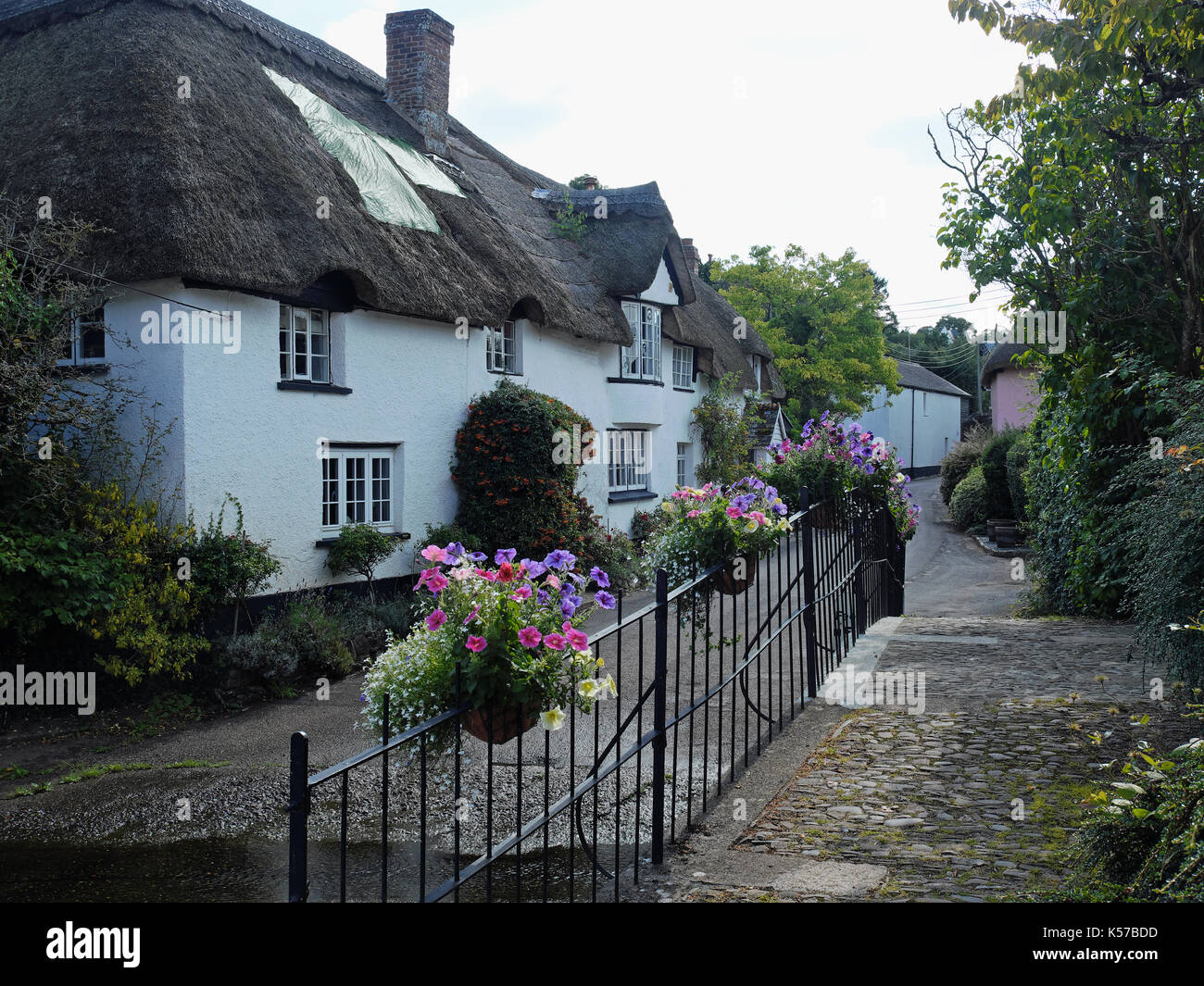 House thatched ford devon hi-res stock photography and images - Alamy