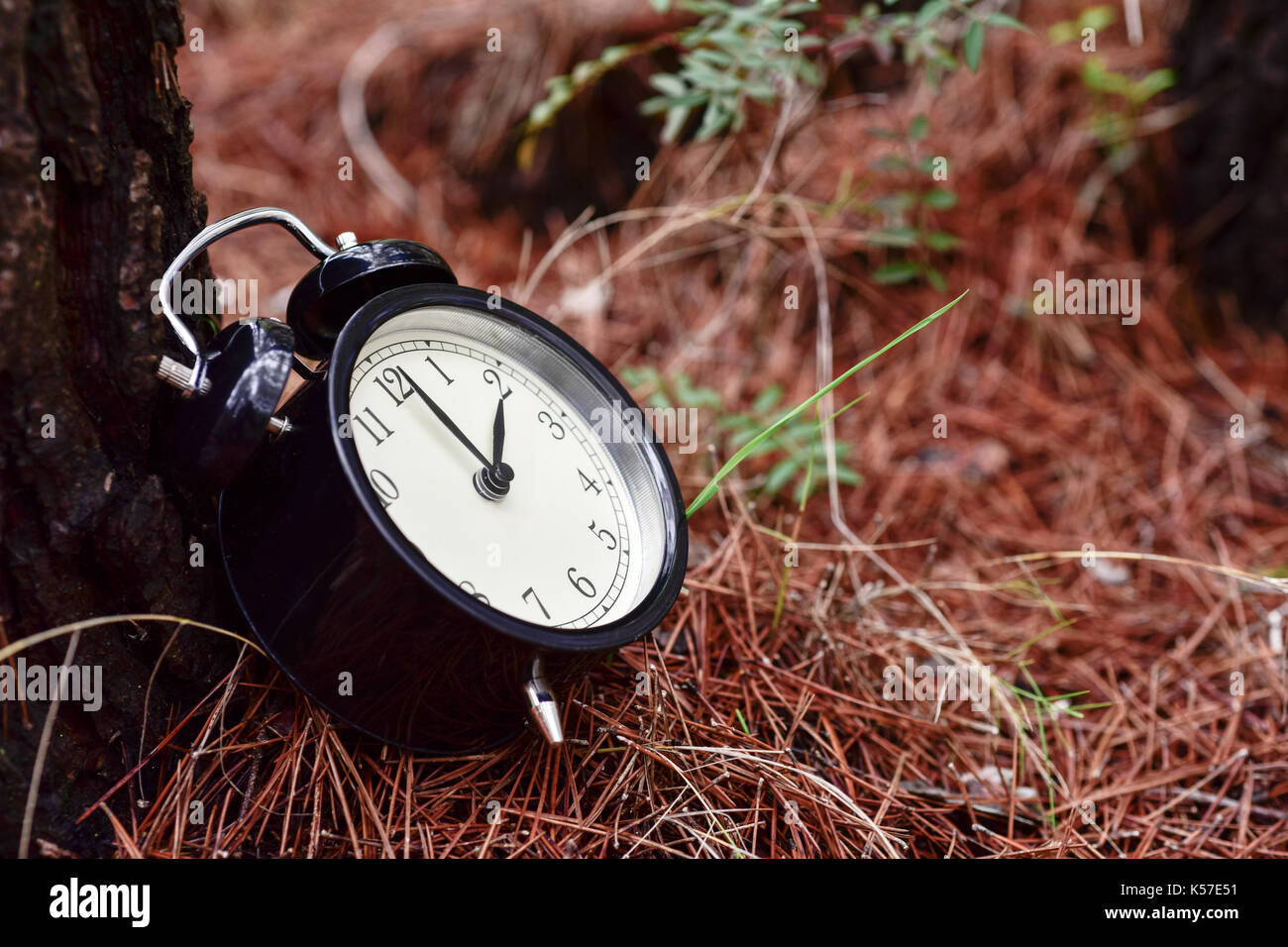 Setting alarm clock and hand hi-res stock photography and images - Alamy