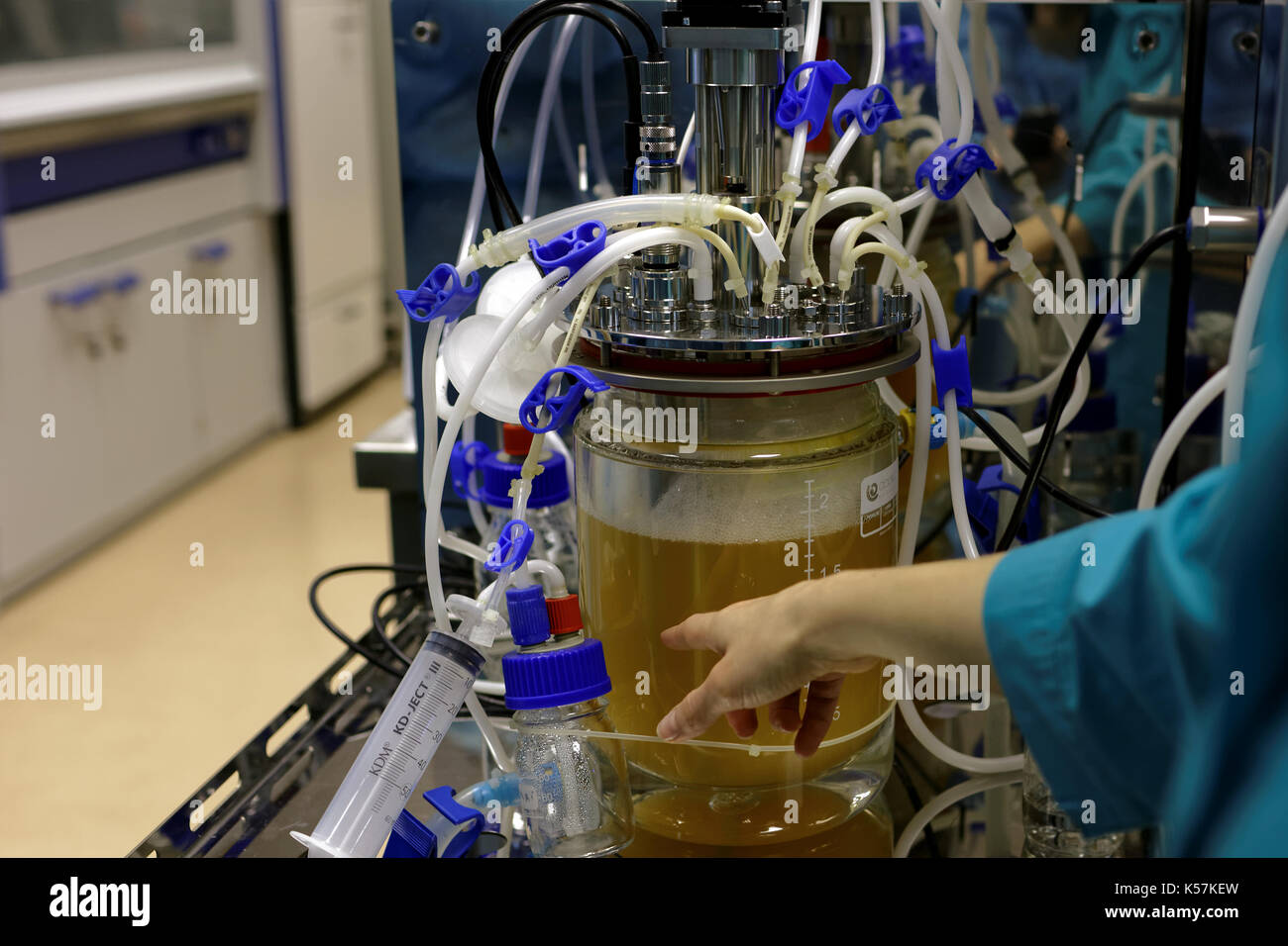 Bioreactor hi-res stock photography and images - Alamy