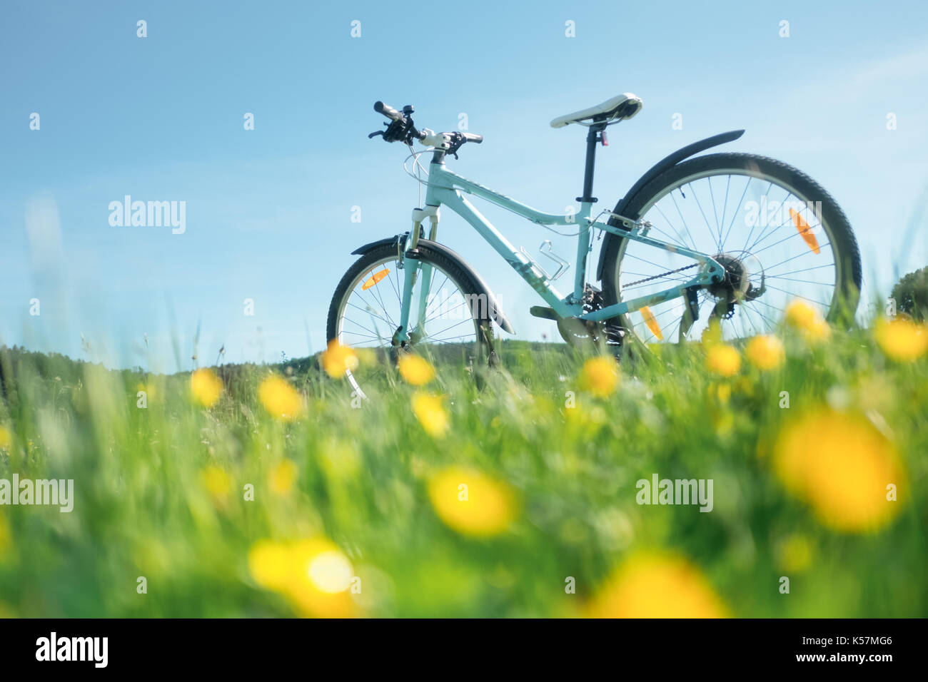Yellow flowers blue bicycle hi-res stock photography and images - Alamy