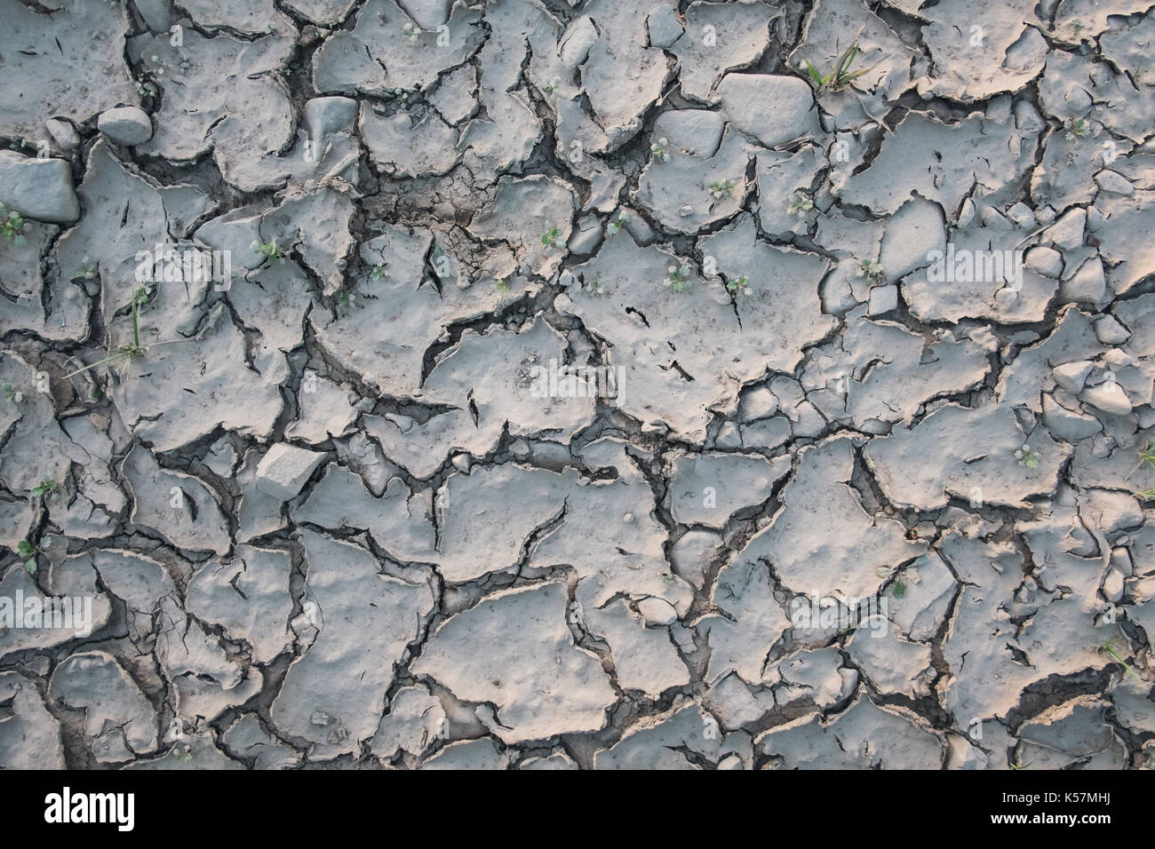 Cracked land texture. Beautiful background for your project Stock Photo ...