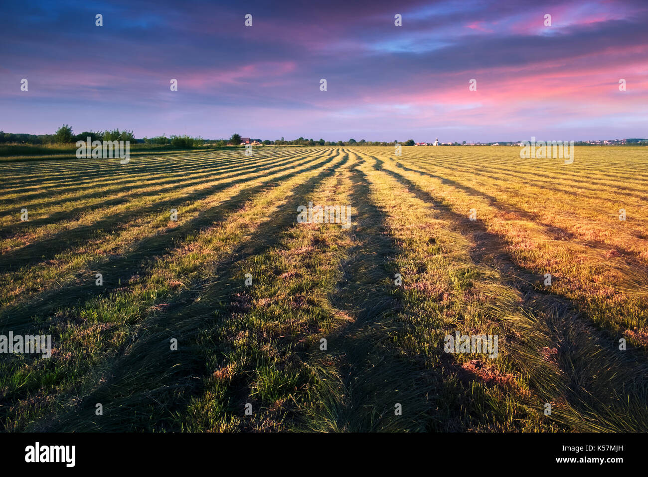 Hay field hi-res stock photography and images - Alamy
