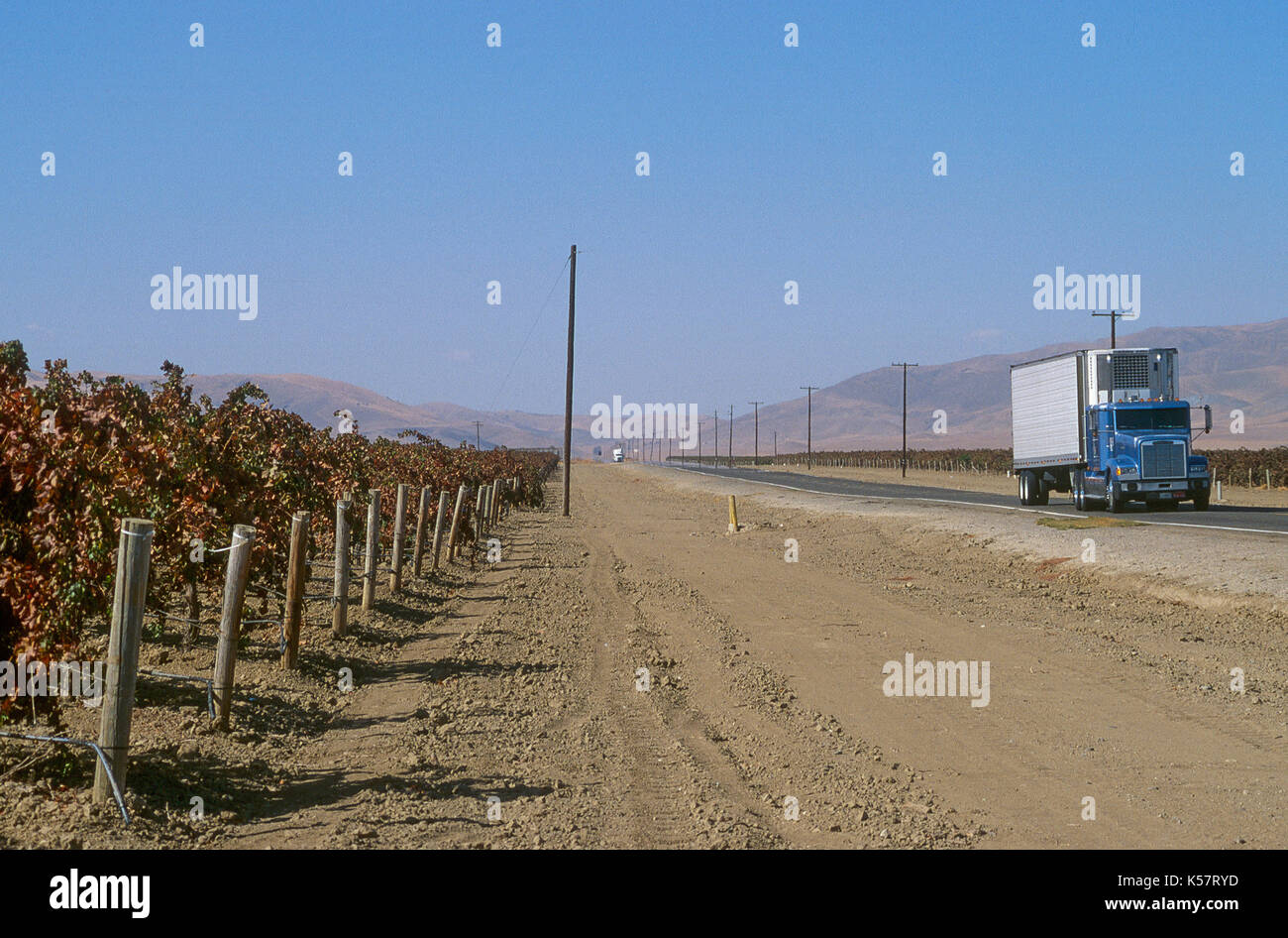 Vine trellissing hi-res stock photography and images - Alamy
