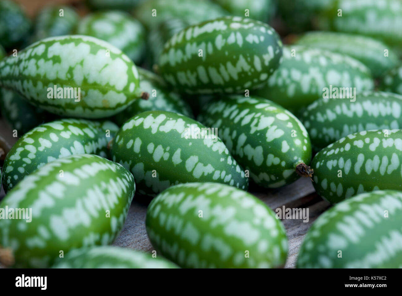 Cucamelon fruit, also known as Mexican gherkins, Mexican sour cucumbers ...
