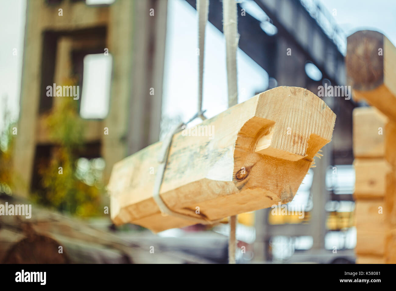 Workers raise the log with a crane Stock Photo - Alamy