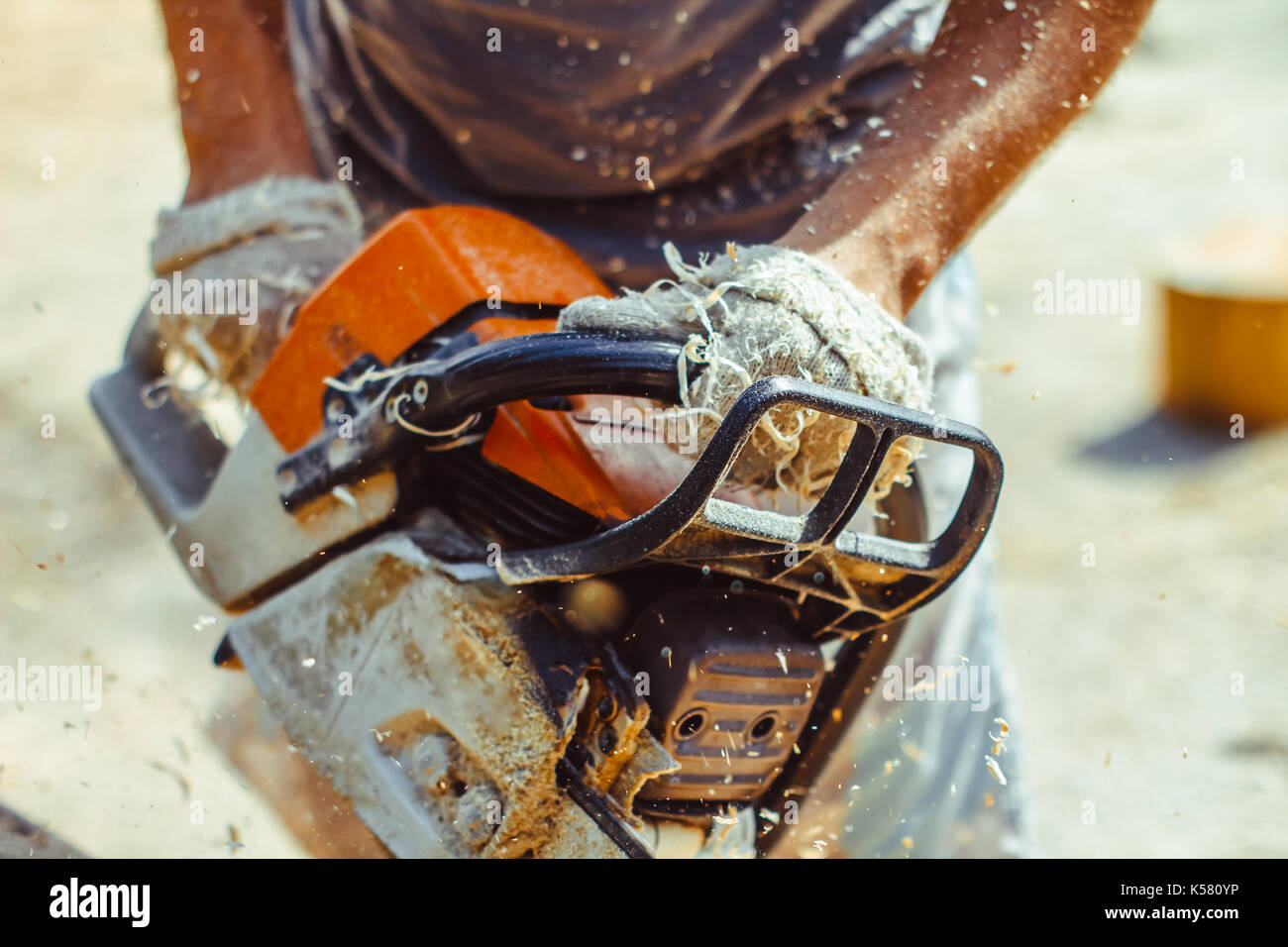 worker sawing a chainsaw tree Stock Photo - Alamy