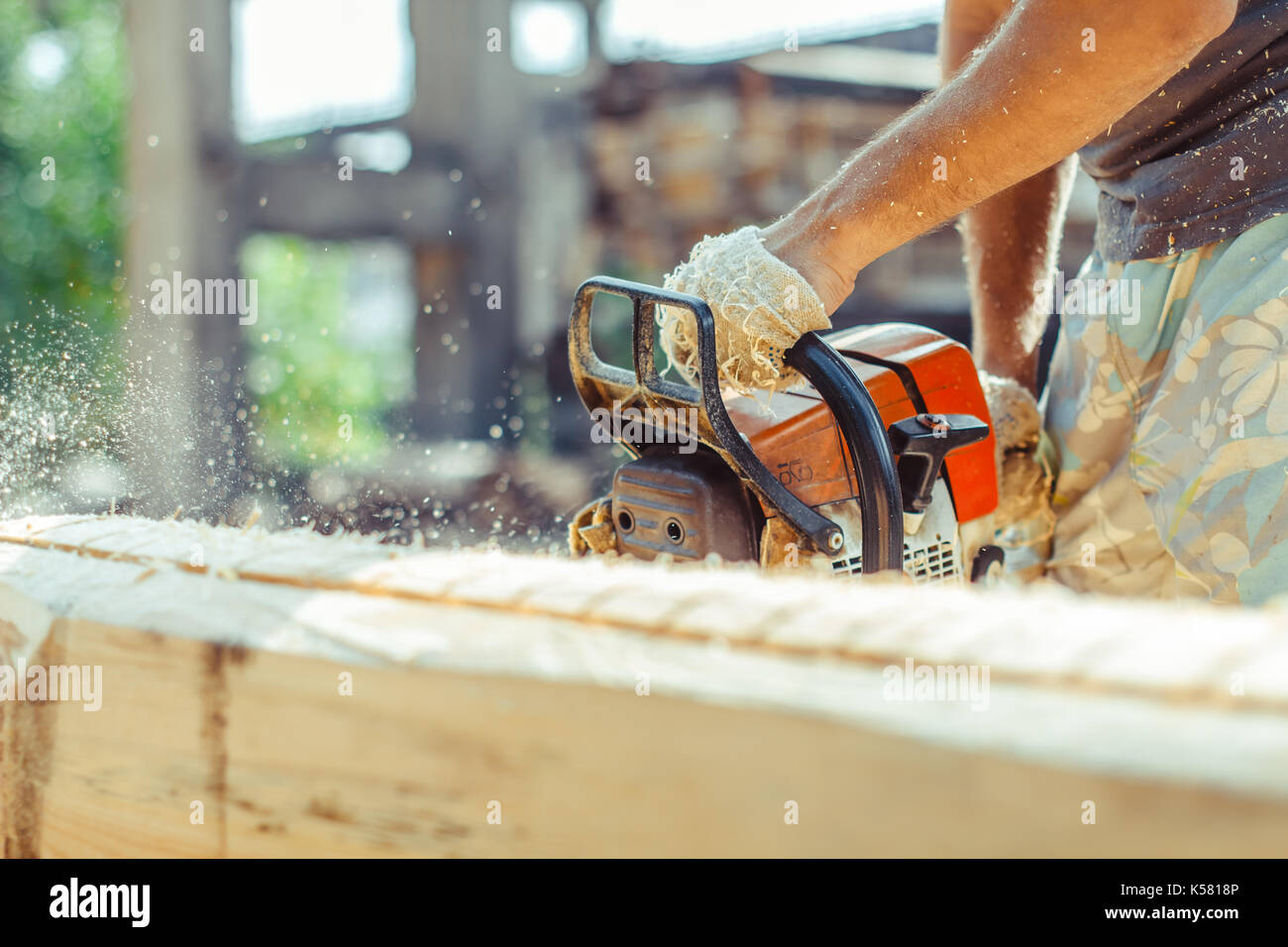 worker sawing a chainsaw tree Stock Photo - Alamy