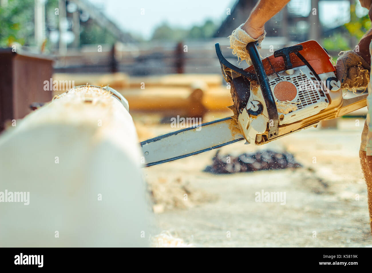worker sawing a chainsaw tree Stock Photo - Alamy