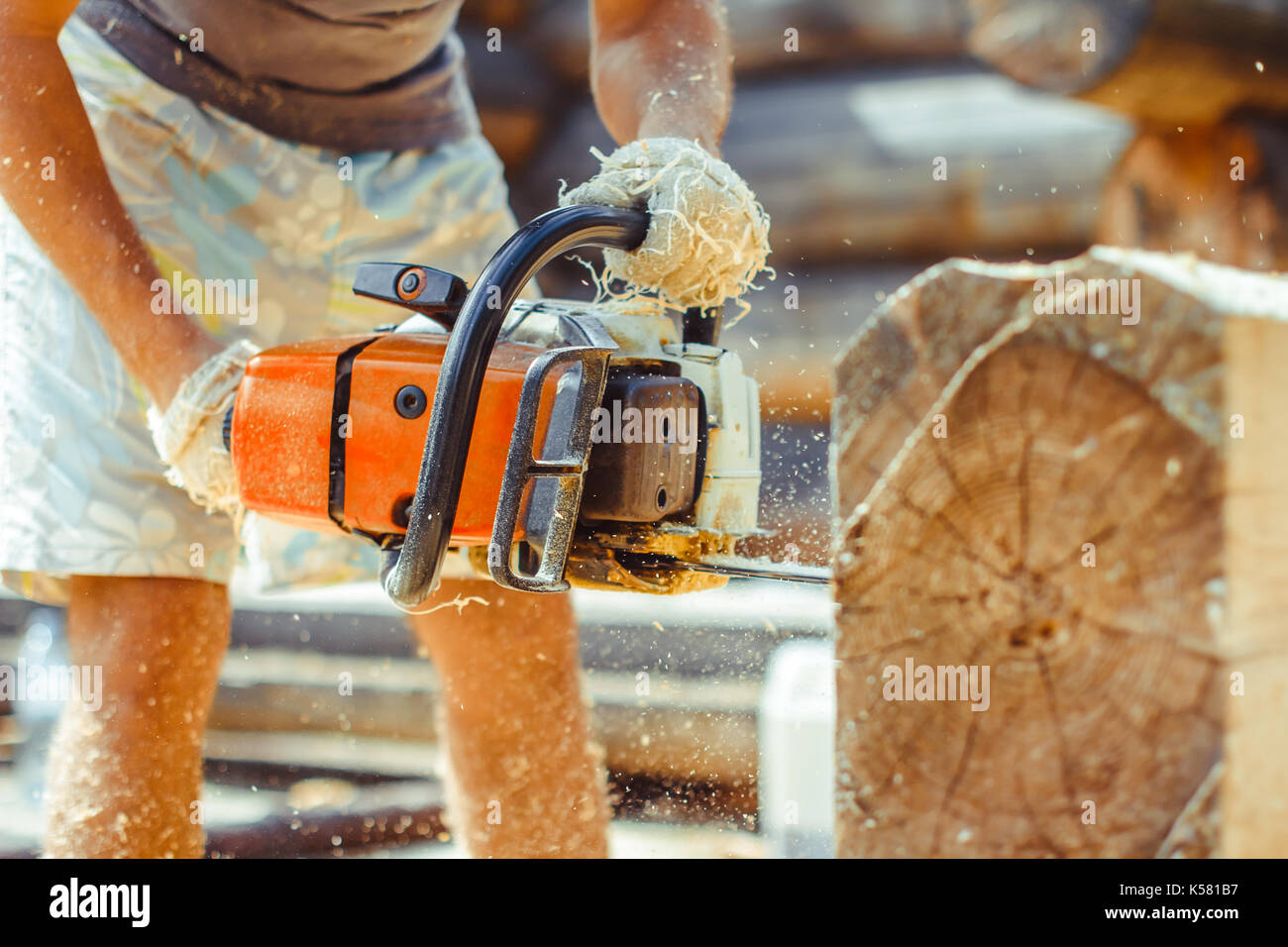 worker sawing a chainsaw tree Stock Photo - Alamy