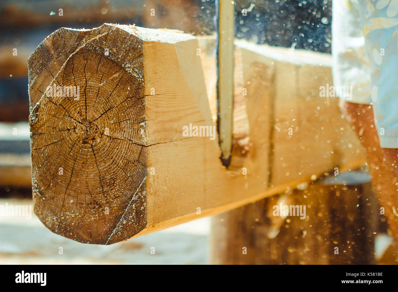 worker sawing a chainsaw tree Stock Photo - Alamy