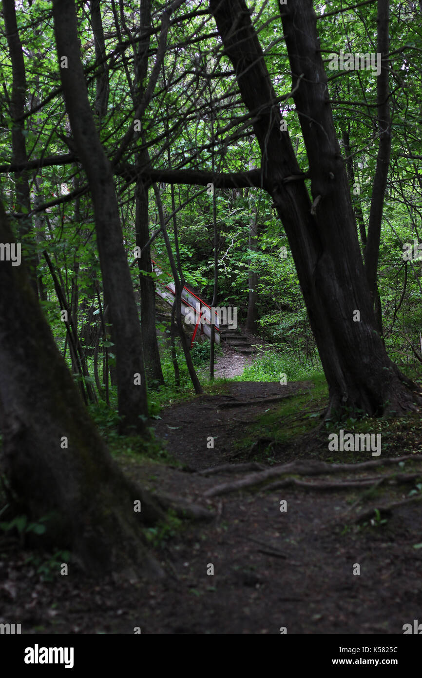 Lost in the forest hi-res stock photography and images - Alamy