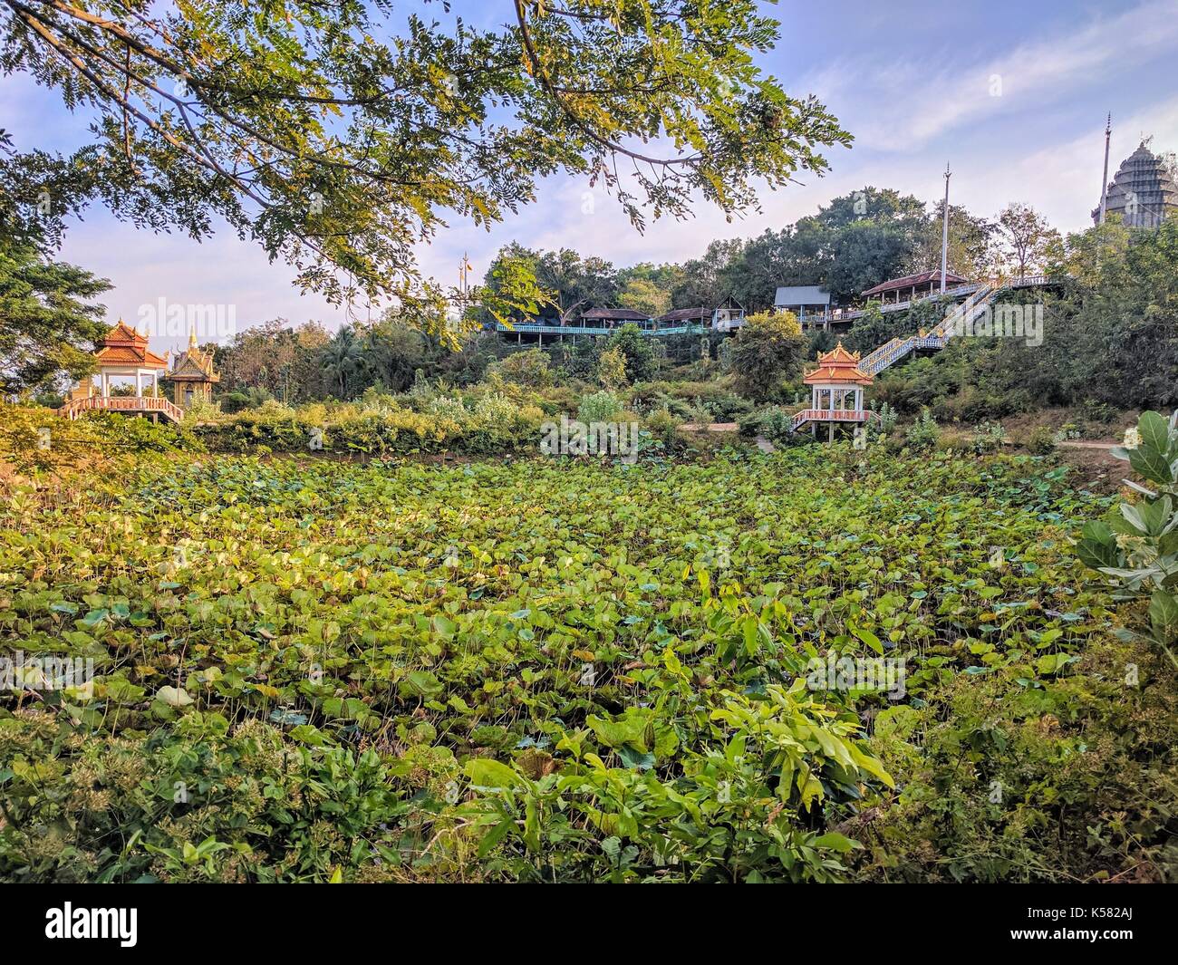 view of central cambodian countryside and temples Stock Photo - Alamy