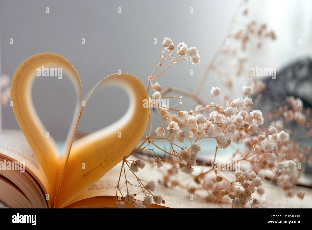 Love and books. Heart shape made from book pages Stock Photo - Alamy