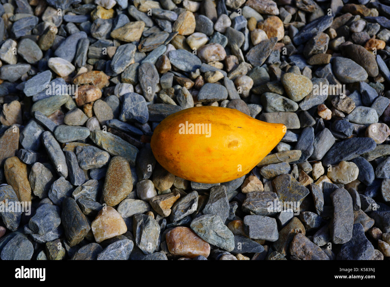 Pouteria hi-res stock photography and images - Alamy