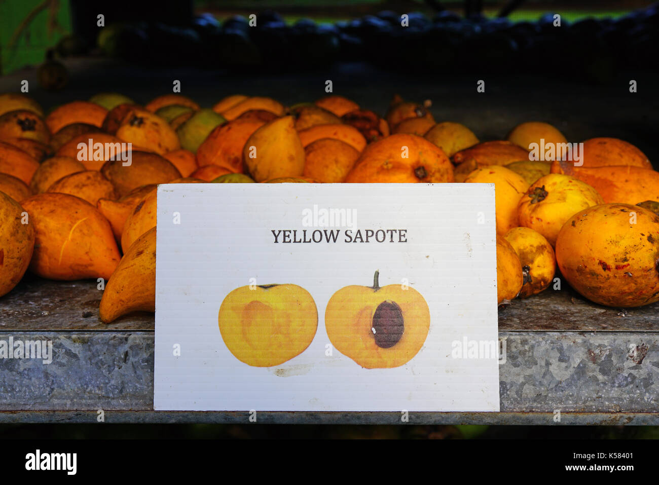 Pouteria hi-res stock photography and images - Alamy