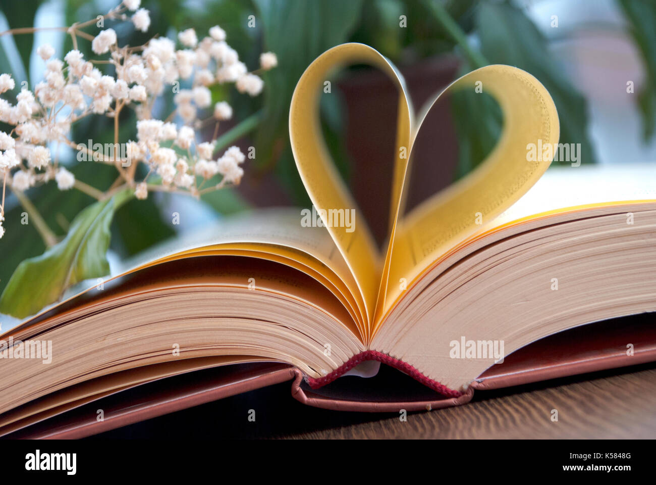 Learning to love books hi-res stock photography and images - Alamy